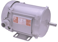 Weg Motors - Inline Sales